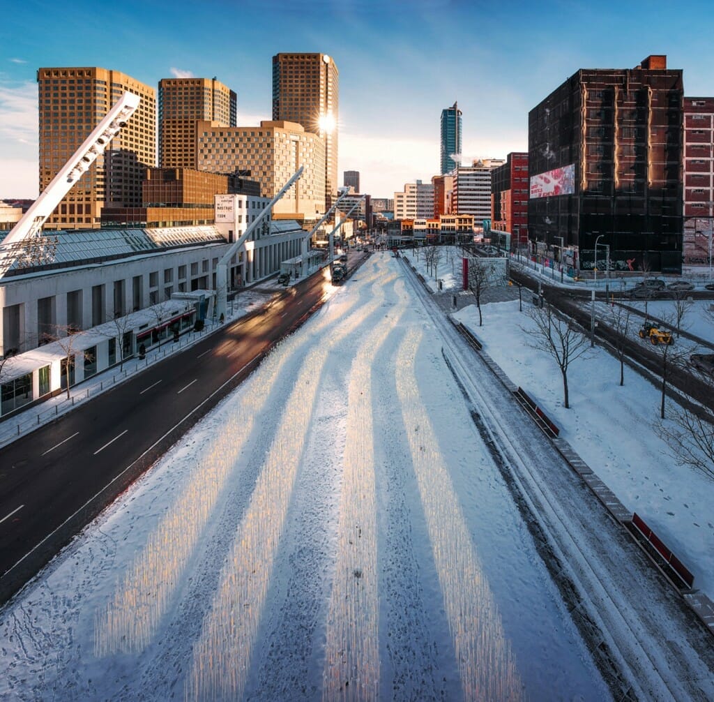 Entre les rangs | QDSinternational