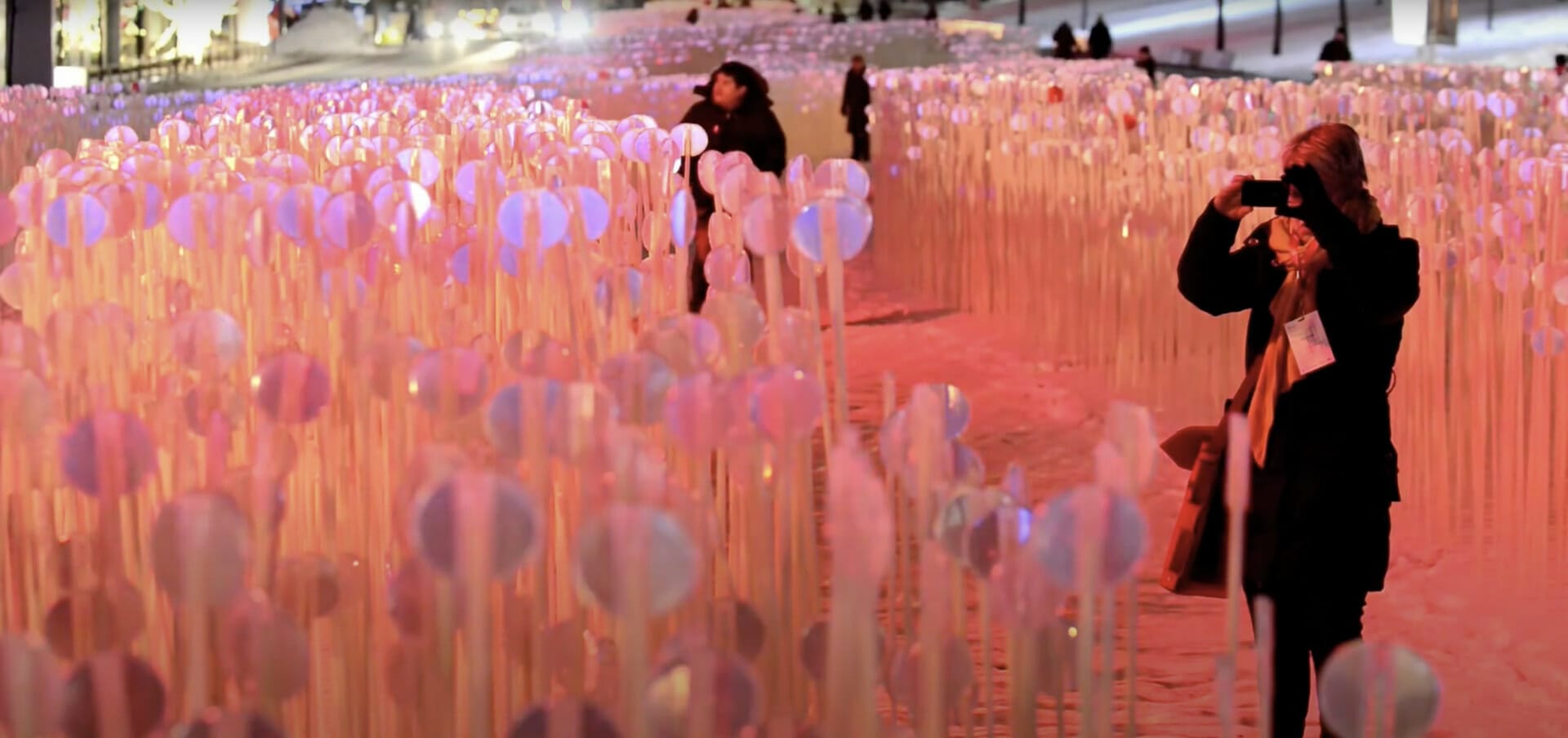 ENTRE LES RANGS | QDSinternational